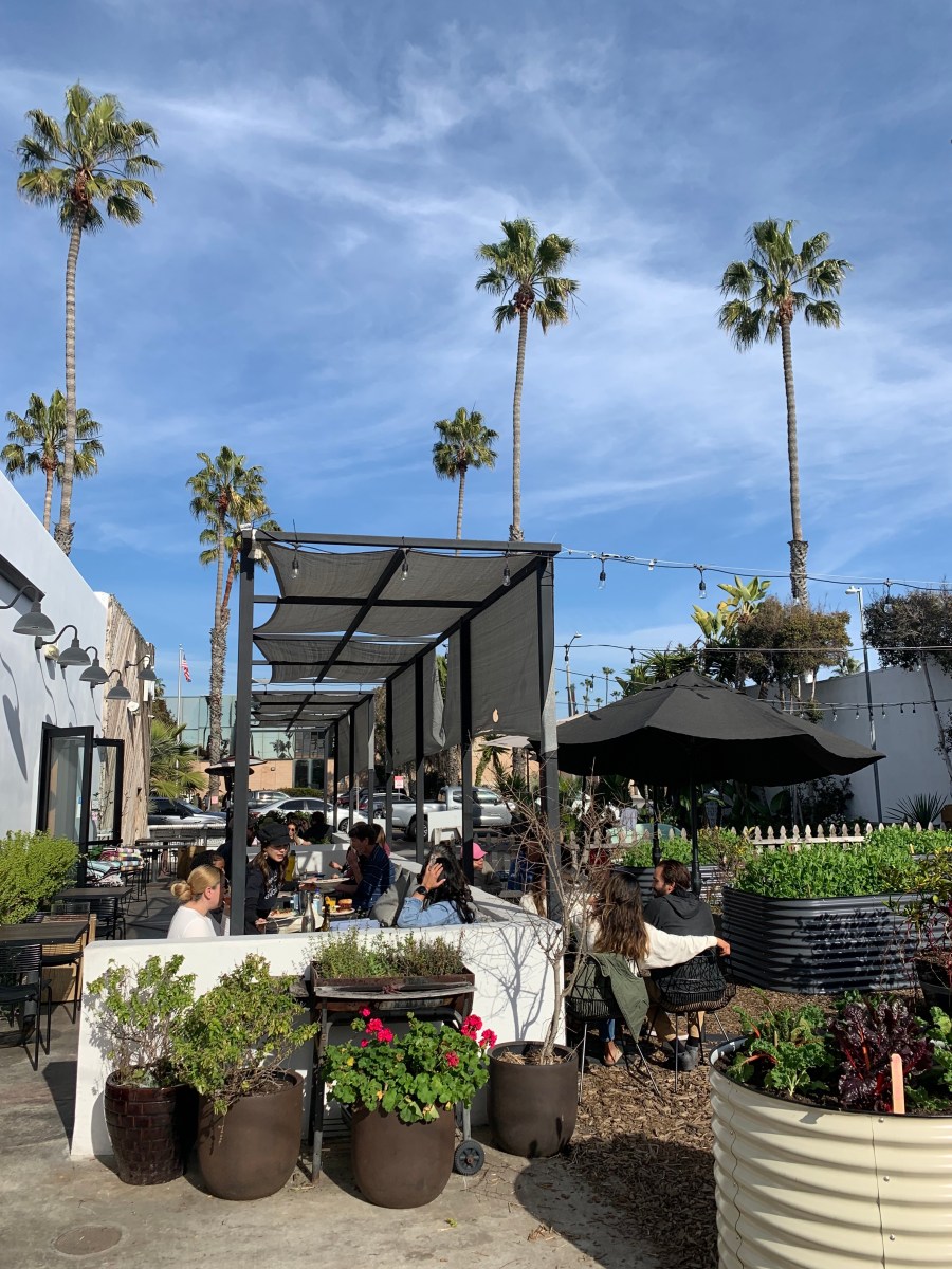 Plant-Based and Zero-Waste: The Plot Serves Up a Garden-to-Table Dining ...